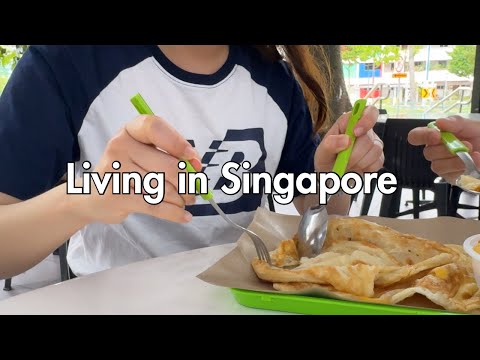 An Average Singaporean’s Life | How much I spend on economical meals | WFH days Vlog