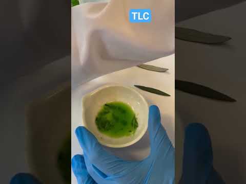 ➡️ Thin layer Chromatography (TLC)Green leaves extract.#Chromatography #TLC #gaber_notes #science
