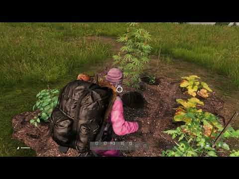 Steam Community :: Video :: Vegetable Growing & Harvesting ...