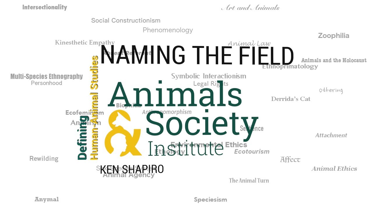 Defining the Field of Human-Animal Studies with Ken Shapiro - ASI's Defining Human-Animal Studies 01
