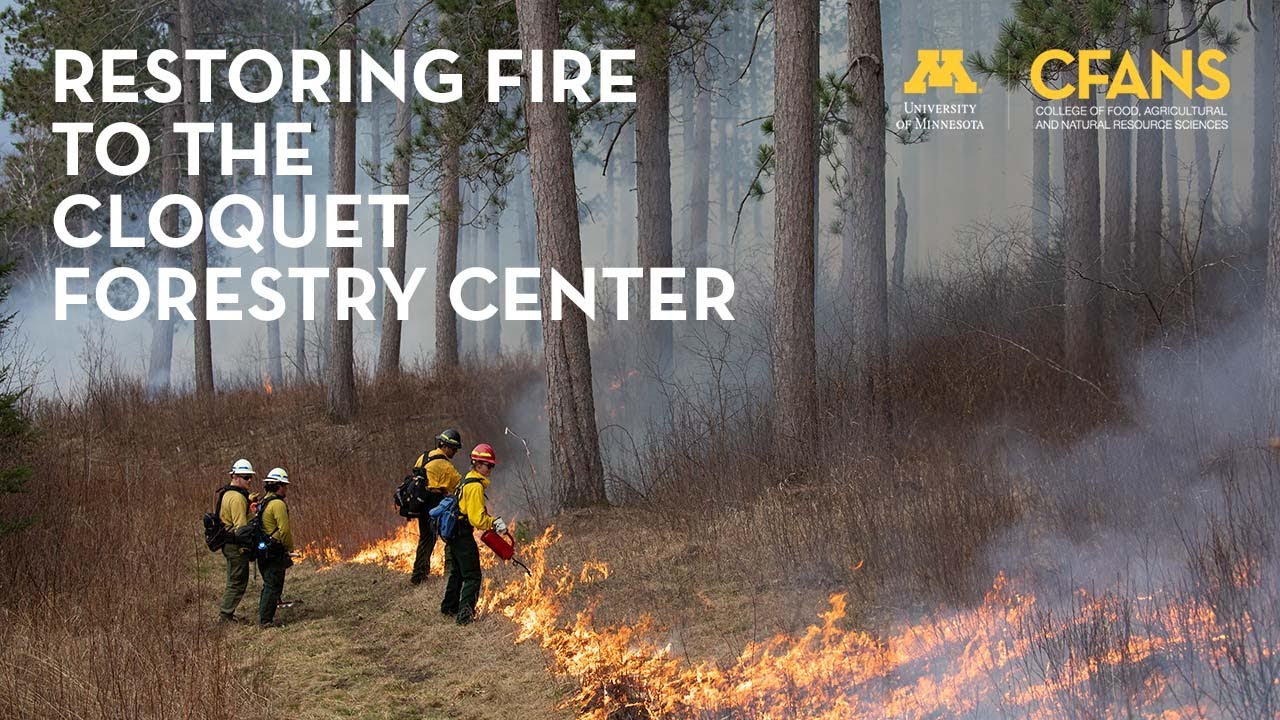Restoring Fire to the Cloquet Forestry Center