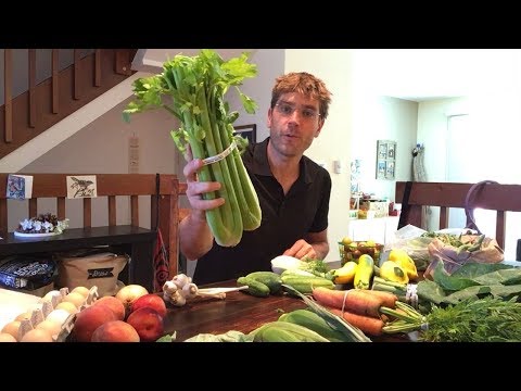 Benefits of Shopping Your Local Farmer's Market