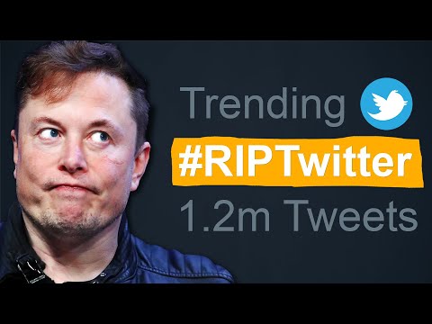 Will Elon Musk Kill Twitter?