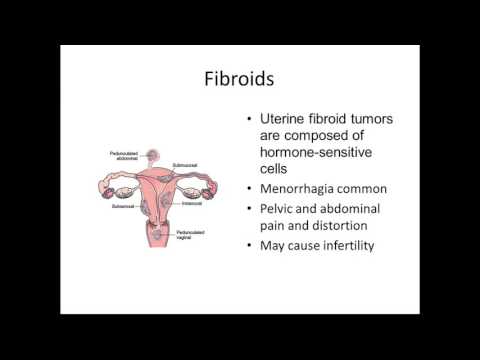 OBGYN Introduction