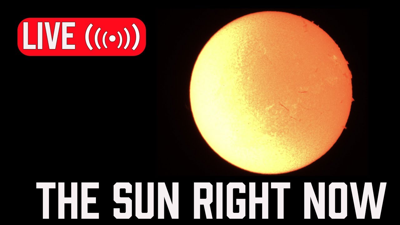 LIVE: The Sun Right Now ☀️ | Backyard Solar Imaging (Real-Time)