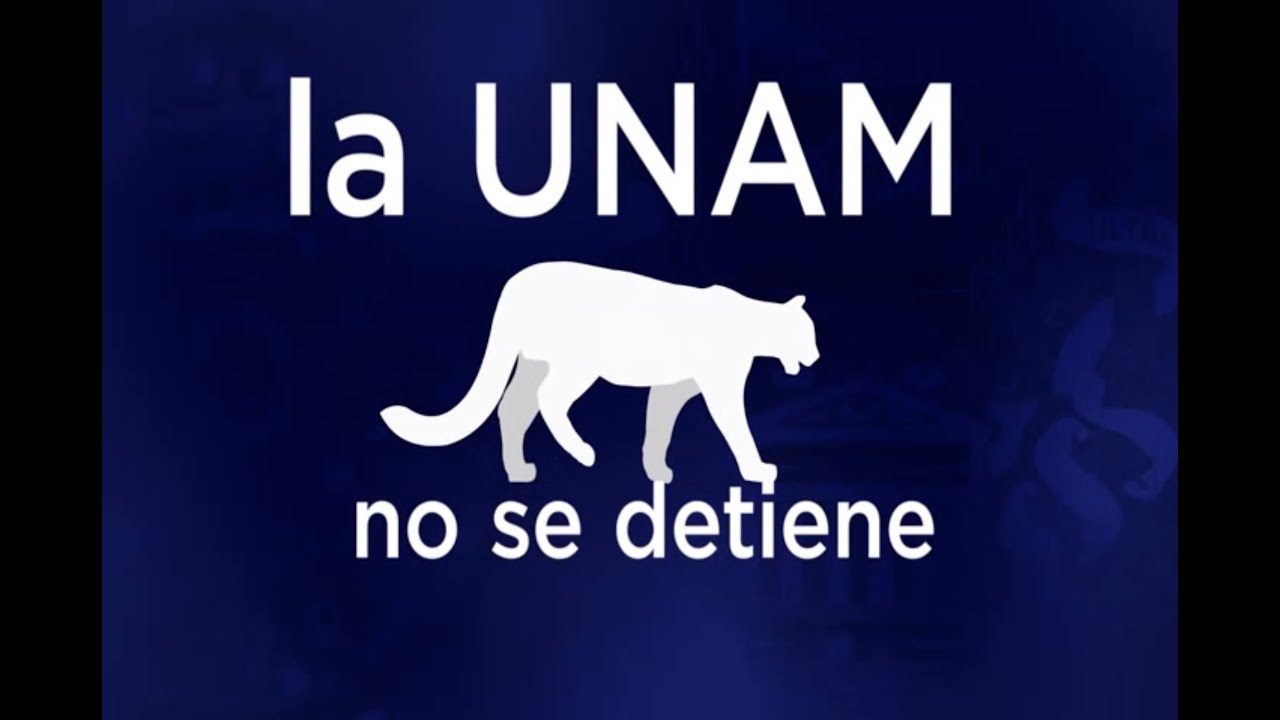 JL PAYRO ZOOTECNIA DE GATOS