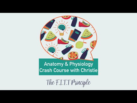 The F.I.T.T. Principle