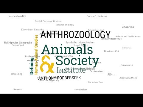 Defining Anthrozoology with Anthony Podberscek - ASI's Defining Human-Animal Studies 02
