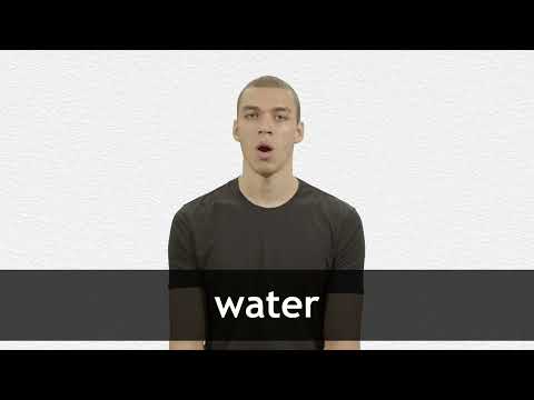 How to pronounce WATER in American English