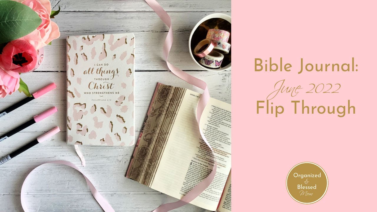 Bible Journal: June 2022 Flip Through | SOAP Bible Study Method