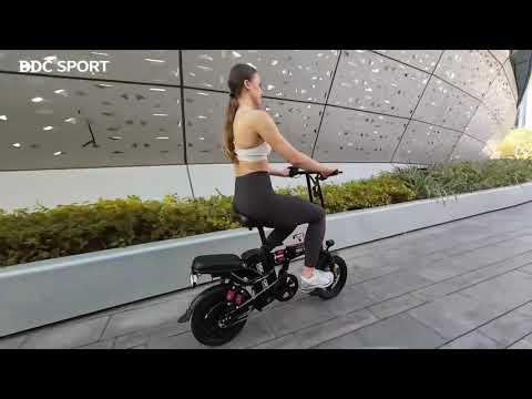Miles Range Electric Bike For Adults, 48V 20AH Battery