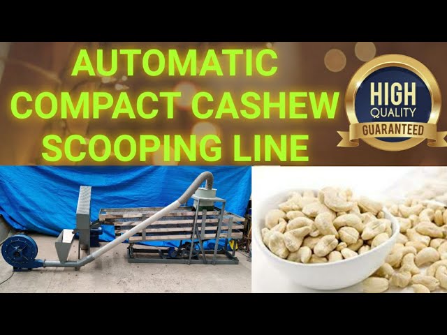 Cashew Scooping Machine - Automatic Cashew Scooping Machine ...