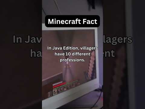 How many Minecraft villager professions are there?