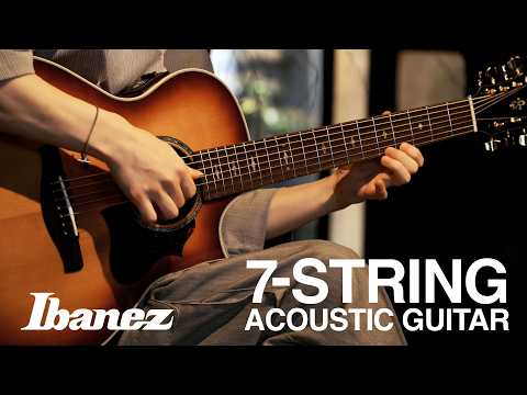 7 String Acoustic Guitar | Seiji Igusa | Ibanez AE3007FMH