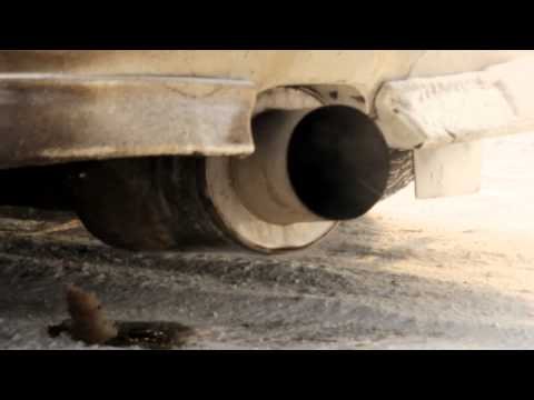 Varex Muffler
