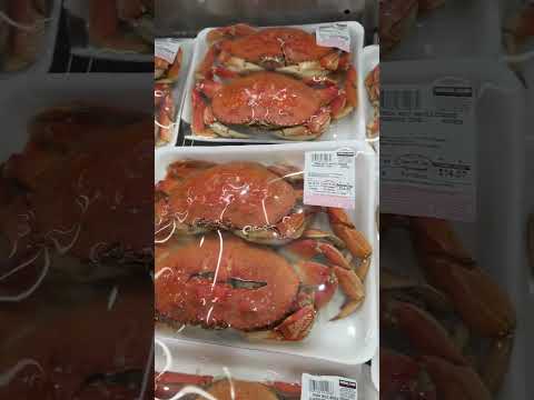 Dungeness Crabs 🦀 On Sale @ Costco!😮#shorts