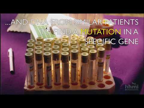 In a Minute Science: The Search for a Mutated Gene