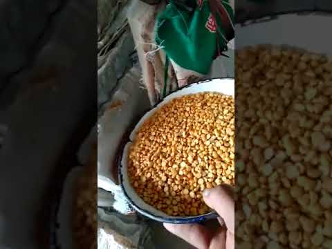 Sortex Machine at Best Price in India