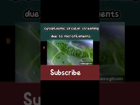 what is Cyclosis | cytoplasmic streaming|protoplasmic streaming #biology
