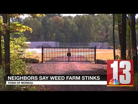 Moreau neighbors say illegal weed farm stinks