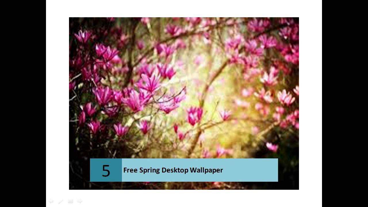 Best free spring desktop wallpapers