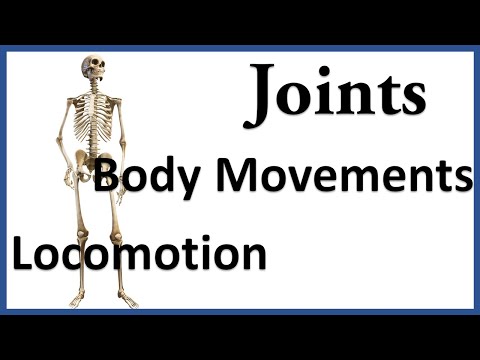 Hinge Joint - Ball and Socket Joint - Pivot Joint - Gliding Joint - Saddle Joint - Condyloid joint