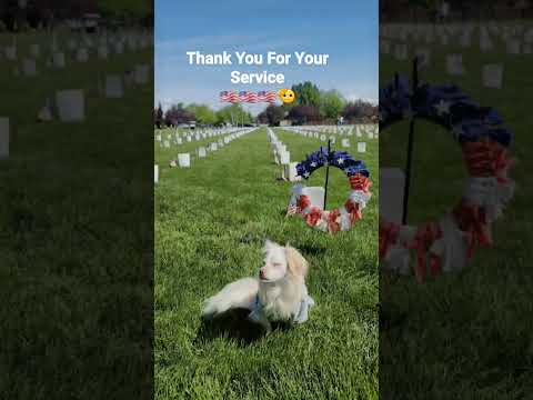 Memorial Day Tribute 🇺🇸🫡 | Liberty Lake, WA | 05.27.2024