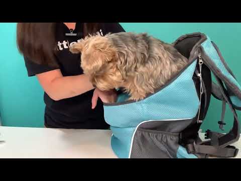 WOYYHO Pet Dog Carrier Backpack Puppy Dog Travel Carrier Review