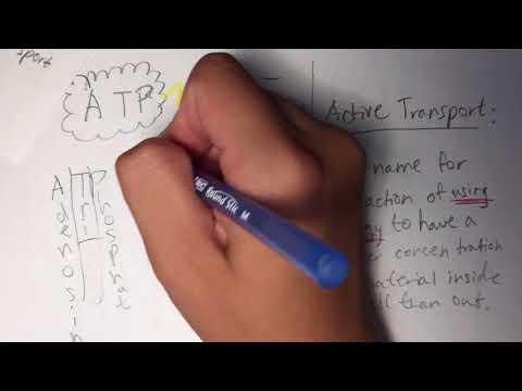 Science: Cell Movement