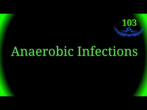Anaerobic Infection @EnteMicrobialWorld #microbes #microbiology #bacteria #infection #anaerobic