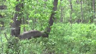 3 Best Hiking Trails in Rochester, MN - Expert Recommendations