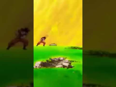 WHEN YOU AND YOUR CATS ARE WATCHING TOO MUCH DRAGON BALL