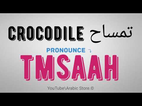 How to say ☛(crocodile) in Arabic