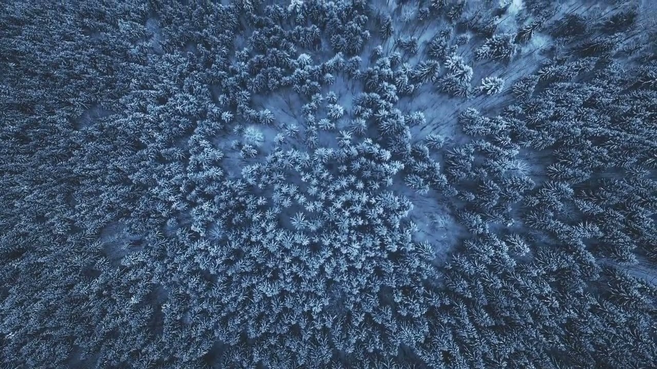 Winter mountain forest. Pine trees covered with ice and snow. - Free Stock Videos - Free Download