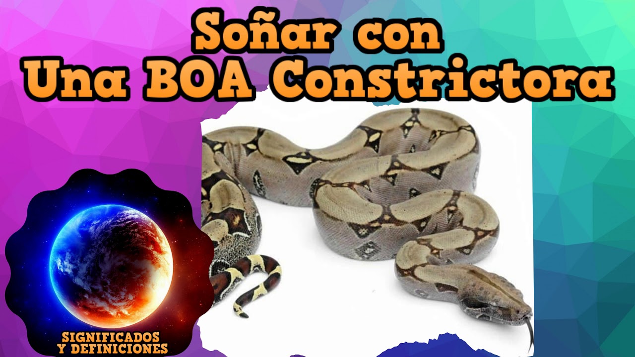 🔴 Que significa Soñar con una Boa Constrictora - #SoñarConUnaBoa - Soñar con serpientes