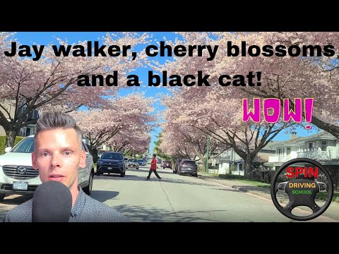 Pedestrians and Jaywalkers [BURNABY BC]