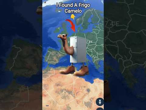 I Found A Frigo Camelo πΆβπ«οΈπ± in google maps and google earth #shots #hrbro76