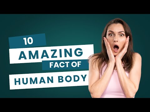 10 Amazing Facts About the Human Body You Didn't Know! |@1theskyhigh