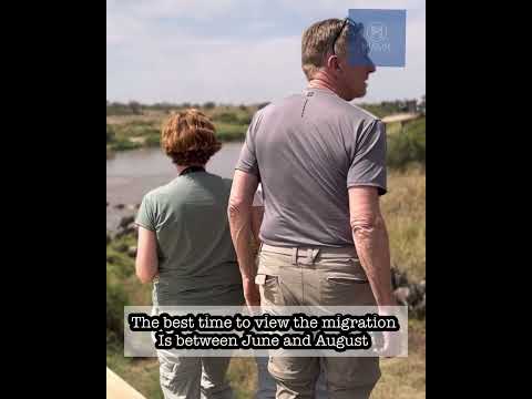 The Great Migration Of Serengeti
