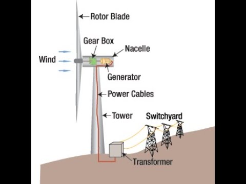 EXAMPLES OF RENEWABLE ENERGY 1