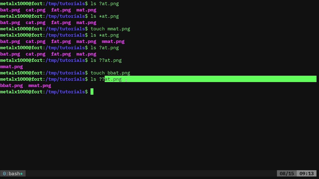 BASH Search Patterns Linux Shell Tutorial