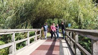 3 Best Hiking Trails in Abbotsford, BC - Expert Recommendations