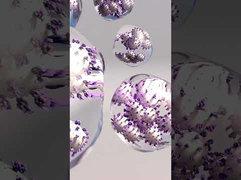 Diptheria