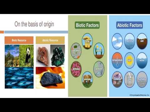 Economic Geography, Natural Resources of Earth