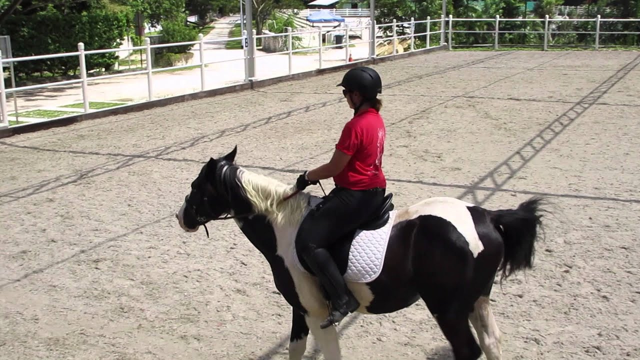 Beth Yurkovac Riding Demo & Evaluation
