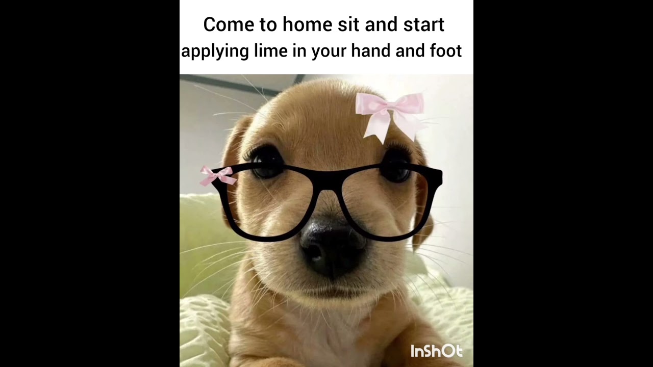 pause to read! watch till the end 😂