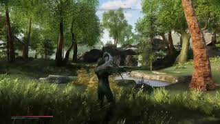 Opus V2 Test 1 at Skyrim Special Edition Nexus - Mods and Community