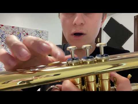 Trumpet Herche Superior Bb Review
