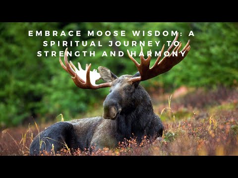 Embrace Moose Wisdom: A Spiritual Journey to Strength and Harmony