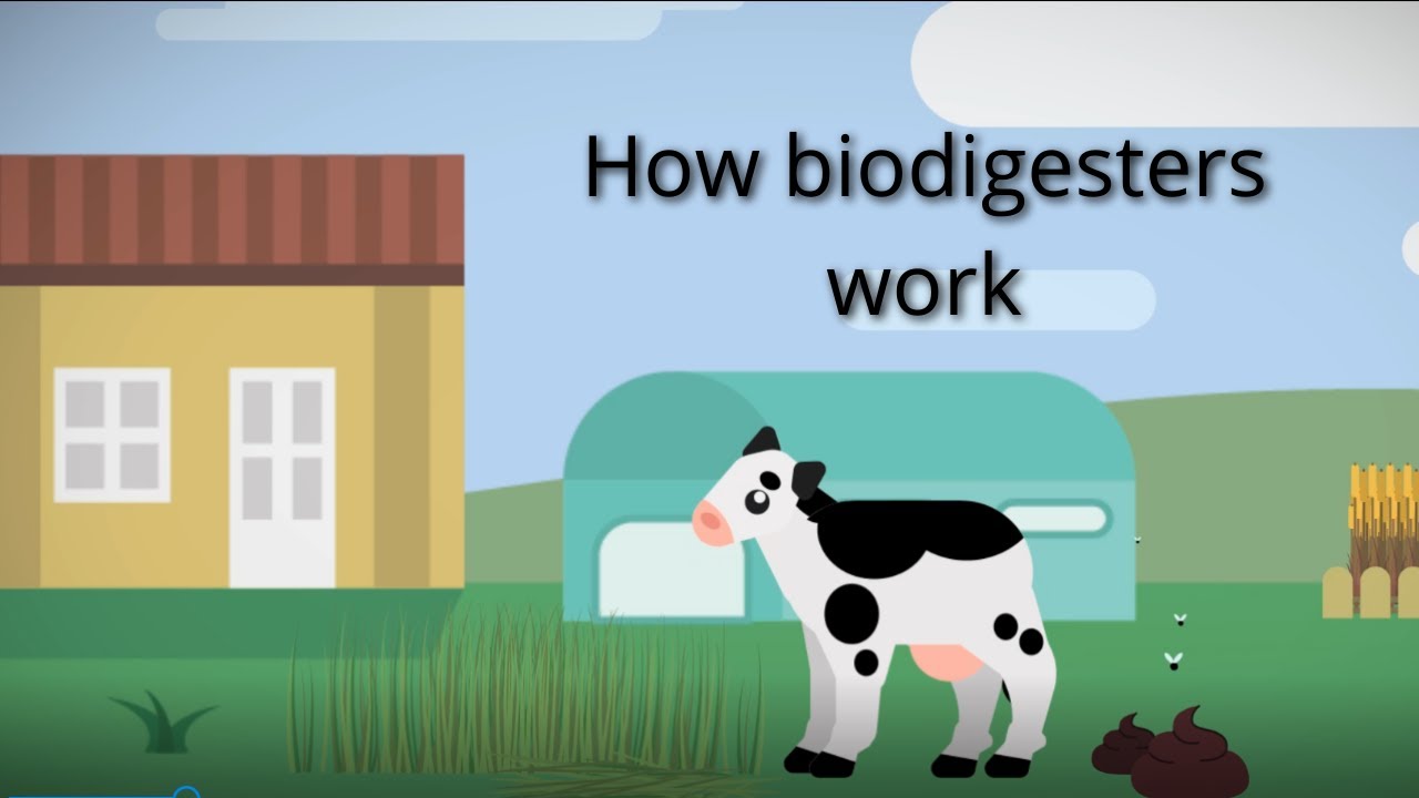 Learn how the biodigesters work!